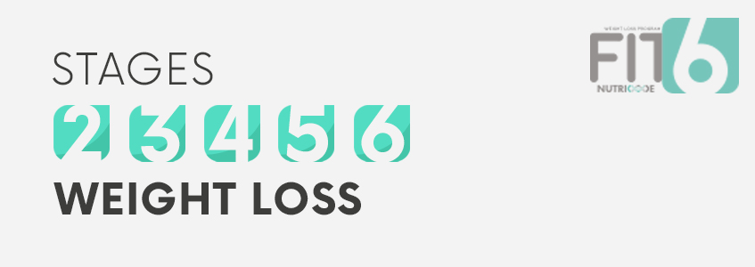 Nutricode FIT 6 - Stage 3